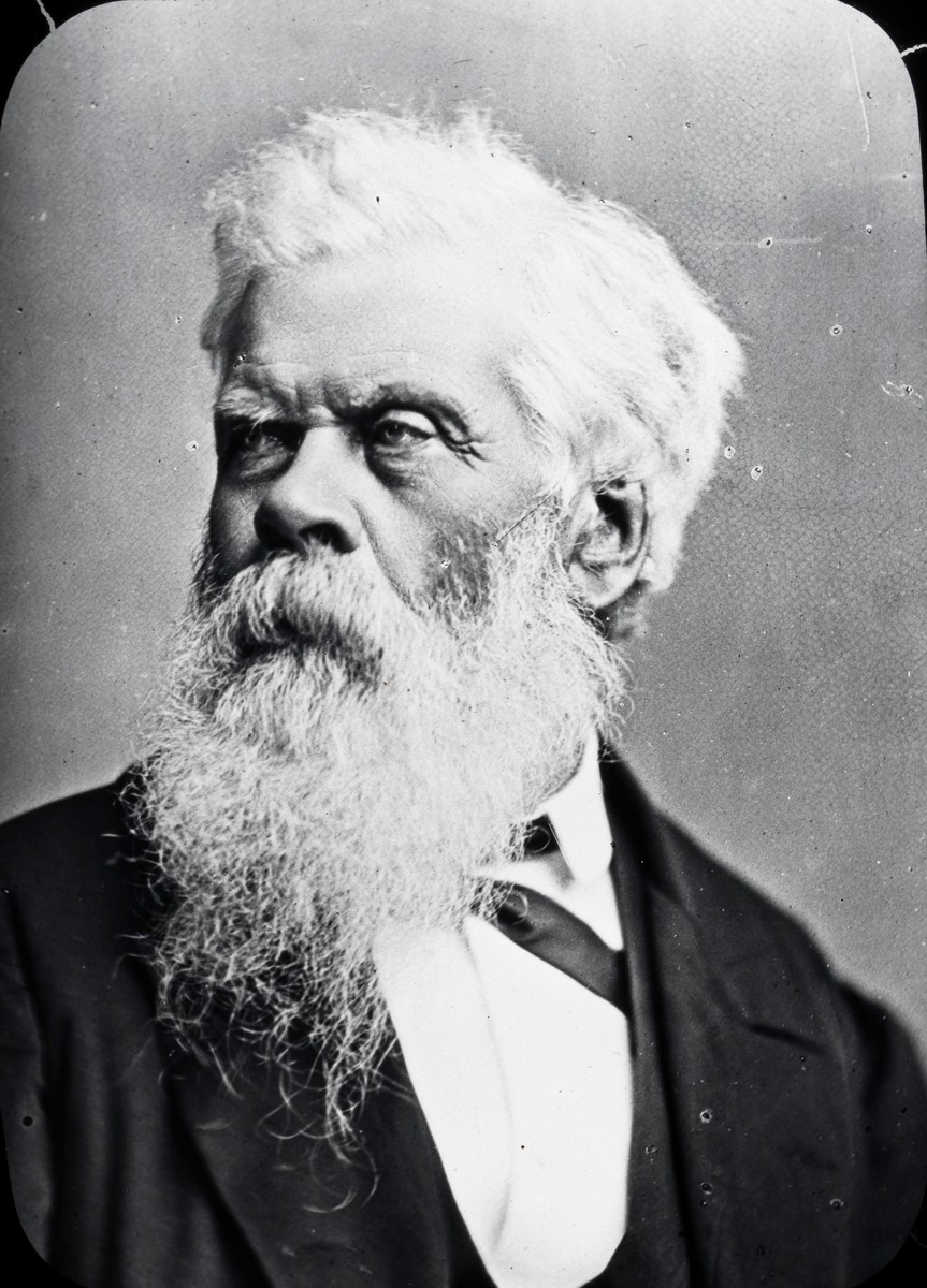 Sir Henry Parkes, National Portrait Gallery