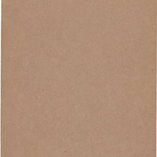 Sarah Bernhardt, National Portrait Gallery