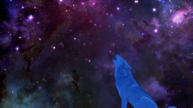 Blue Wolf, 2014, National Portrait Gallery