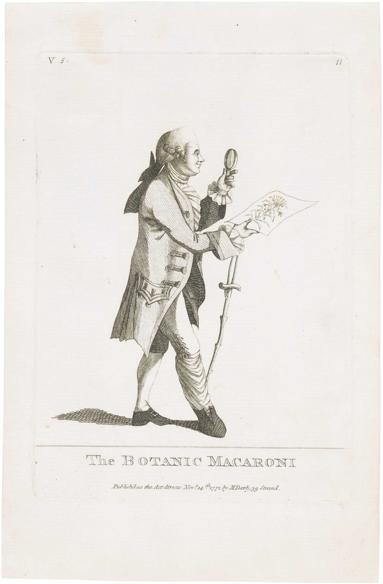 The Botanic Macaroni (Sir Joseph Banks), National Portrait Gallery